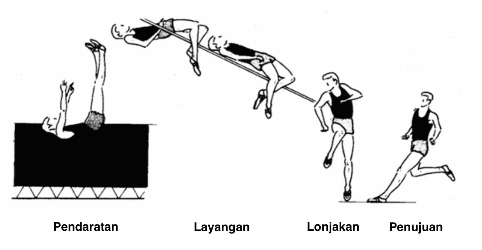 Sukan Lompat Tinggi - Teknik dan Peraturan - Tips Kesihatan