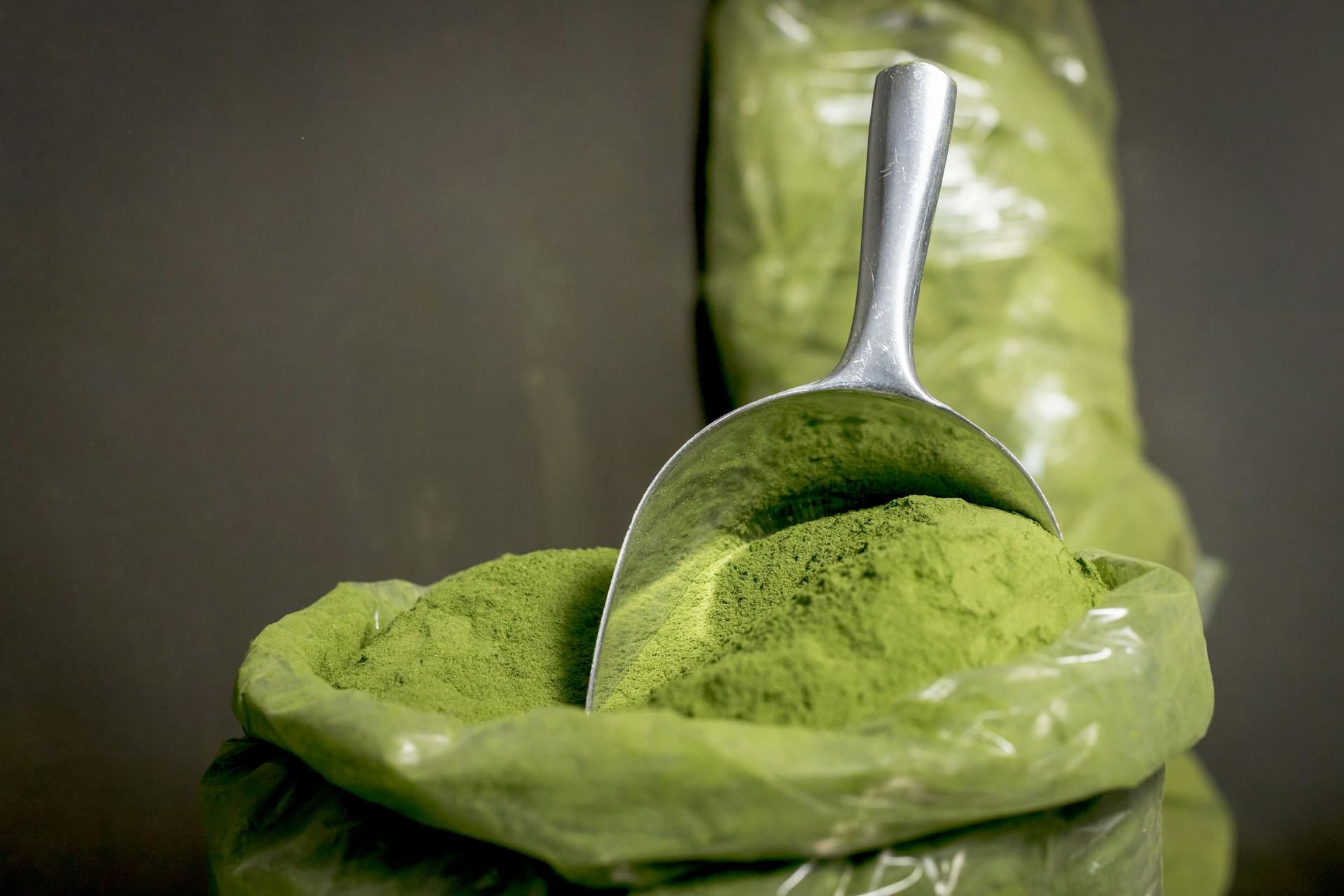 Kelebihan dan Khasiat Pokok Moringa - Tips Kesihatan